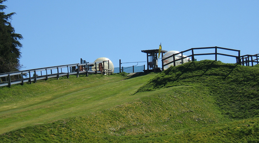 Zorb Rotorua Review : Fun but expensive | Reviewed NZ